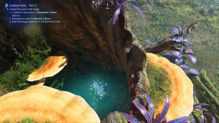 Avatar Frontiers of Pandora: All Bellsprigs - Kinglor Forest - gamepressure.com