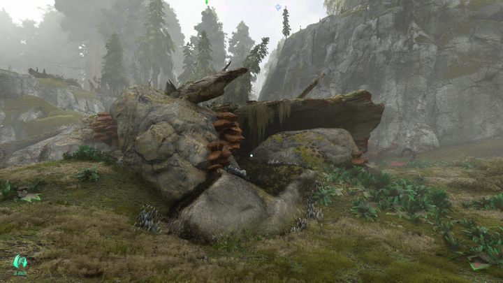 Avatar Frontiers of Pandora: Kame'tire Dolls - gamepressure.com