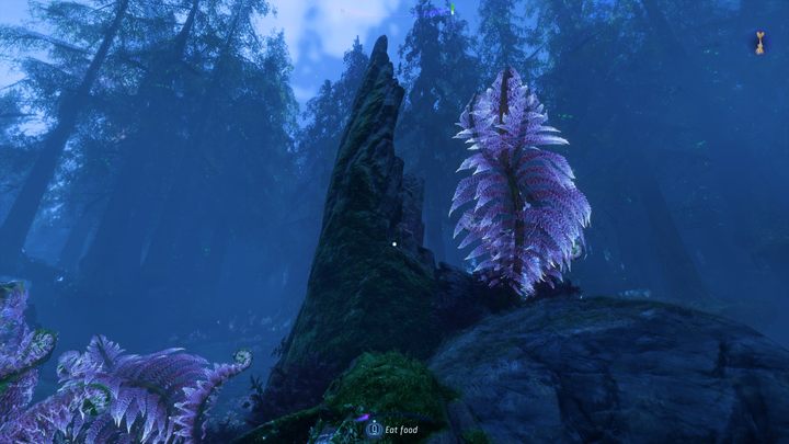 Avatar Frontiers of Pandora: Kame'tire Dolls - gamepressure.com