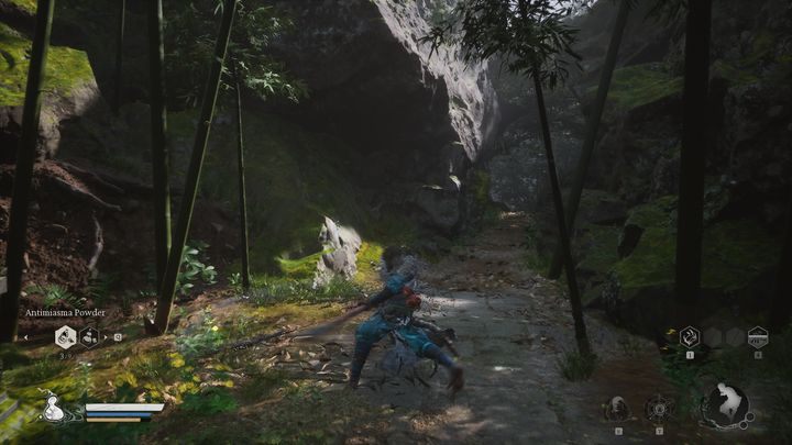 Black Myth Wukong: Combat system - gamepressure.com