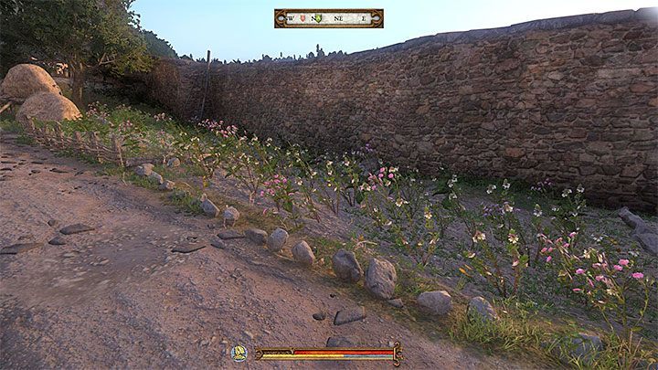 Sasau | Side quests in Kingdom Come Deliverance - Kingdom Come ...